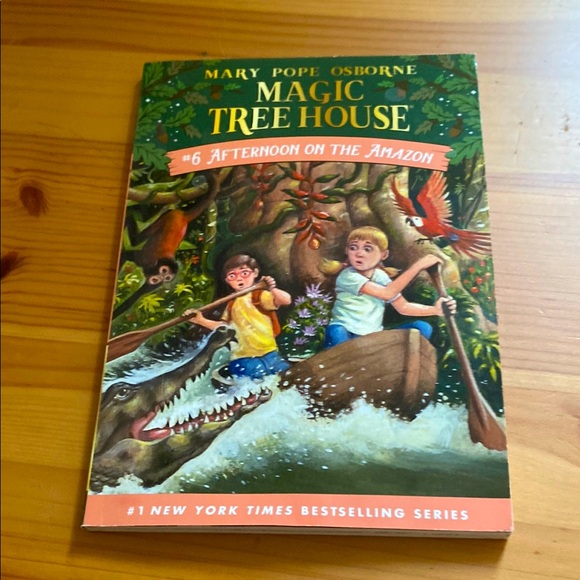 Other | Magic Tree House 6 Afternoon On The Amazon Book | Poshmark